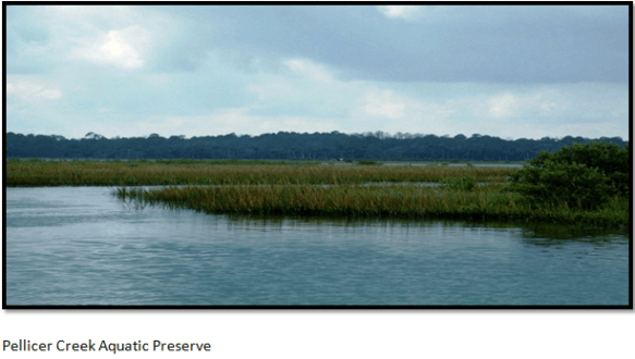 Matanzas Basin | Planning for Sea Level Rise in the Matanzas Basin